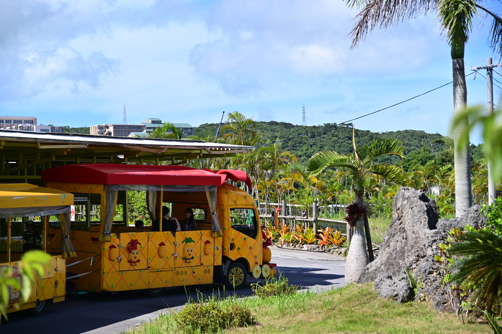 名護パイナップルパーク Nago Pineapple Park – わかりやすい観光マップ Japan Sightseeing Map ...