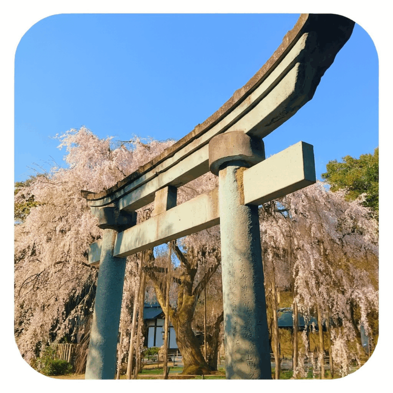足羽神社 Asuwa Shrine – わかりやすい観光マップ Japan Sightseeing Map Kawaii Official